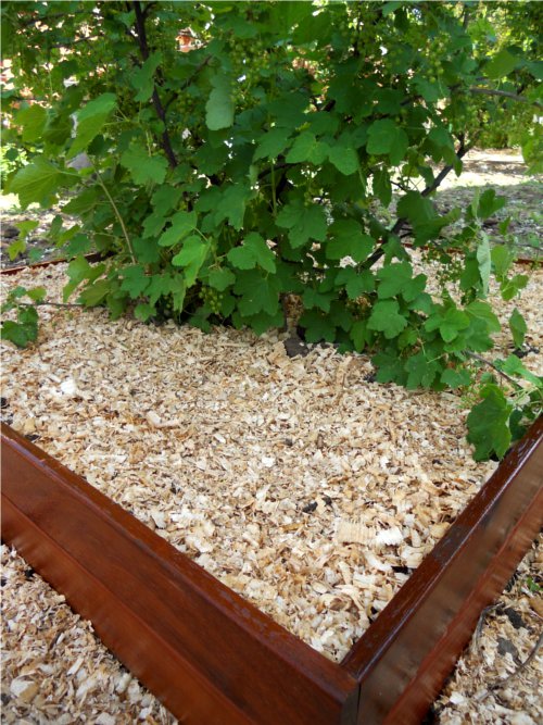 Straturi inaltate - StilOrganizat