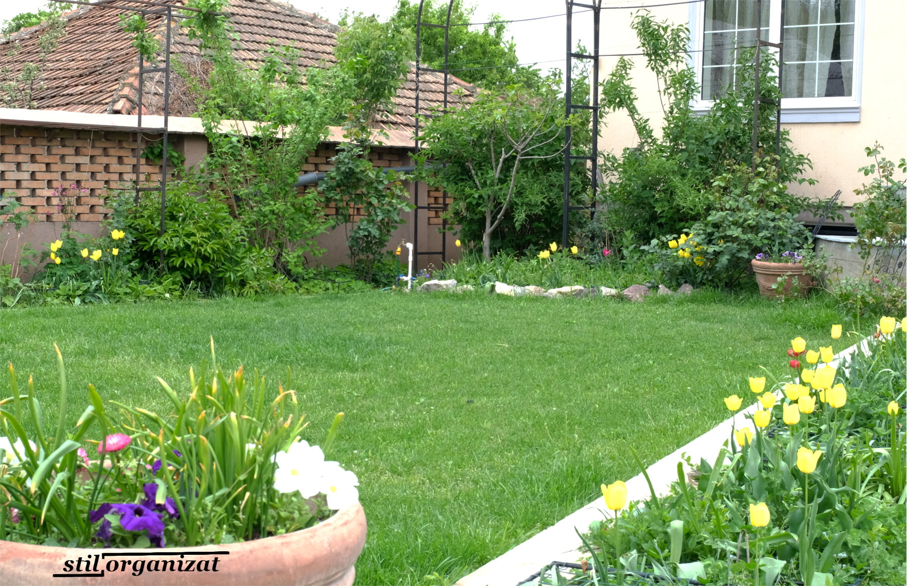 Grădina în mai - ce e de făcut - Gradina pe luni - StilOrganizat