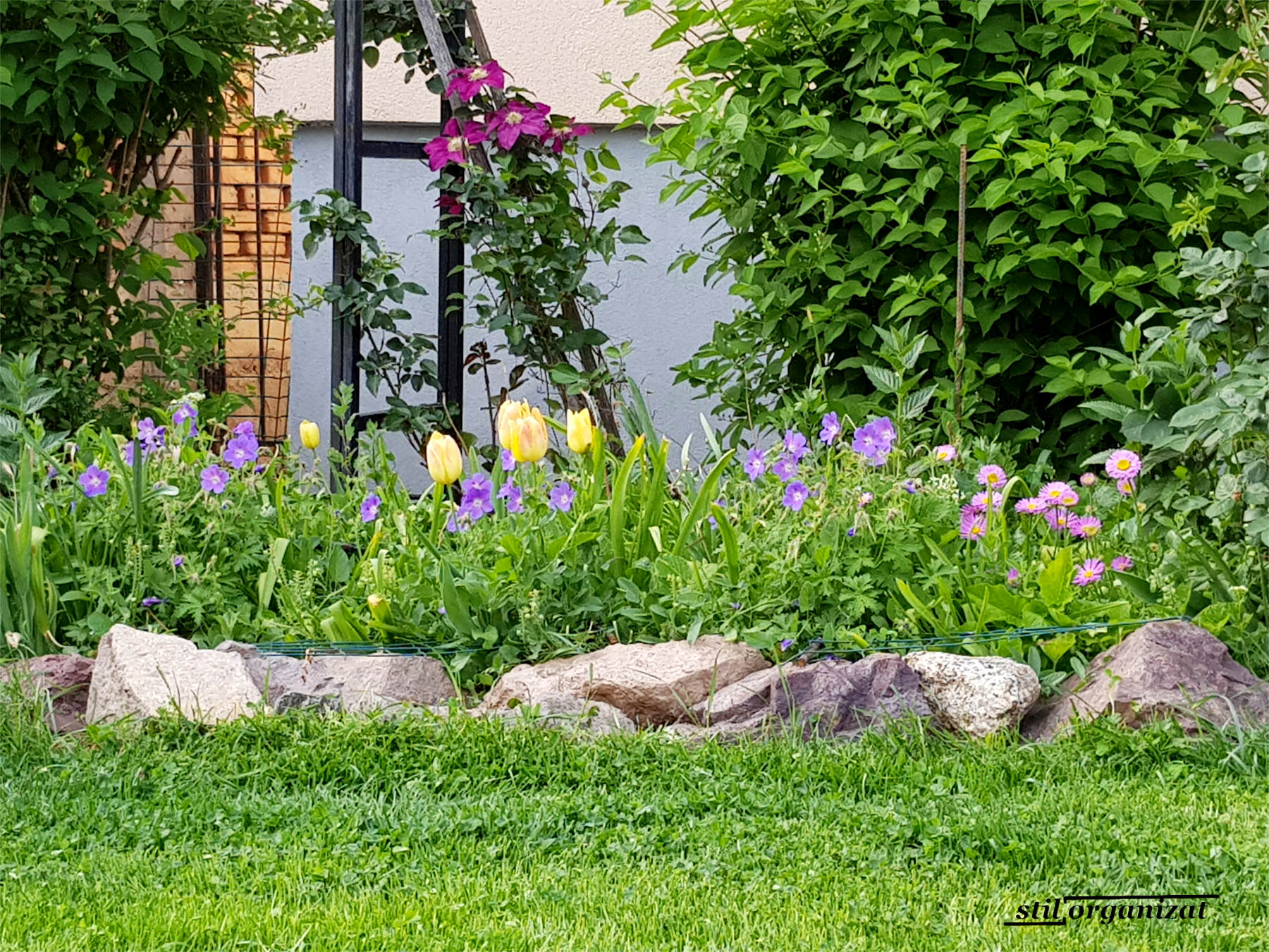 Grădina în mai - ce e de făcut - Gradina pe luni - StilOrganizat